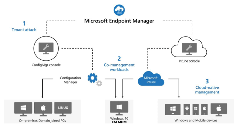 Conception et conseil en entreprise pour Intune